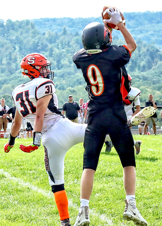 Wolverines fall at home | News, Sports, Jobs - Times Observer